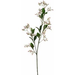 Mica Decorations Mica künstliche Escallonia rosa 77 cm Kunstpflanzen