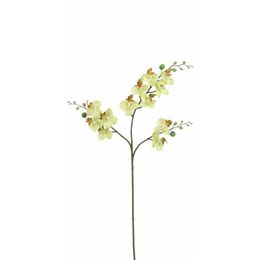 Mica Decorations Mica künstliche Phalaenopsis grün, 75 cm Kunstpflanzen