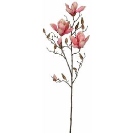 Mica Decorations Mica künstliche Magnolia rosa, 88 cm Kunstpflanzen