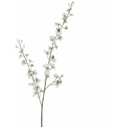 Mica Decorations Mica künstliche Oncidium creme 78 cm Kunstpflanzen