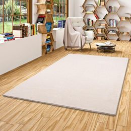 Snapstyle - Hochflor Luxus Velours Teppich Touch Beige - 100x200 cm