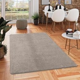 Snapstyle - Hochflor Luxus Velours Teppich Touch Taupe - 160x160 cm