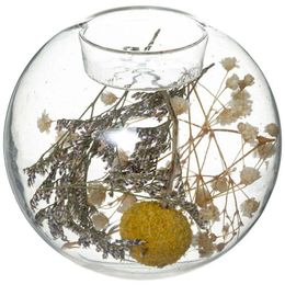 Atmosphera - Teelichthalter, Trockenblumen im Glas, 2in1