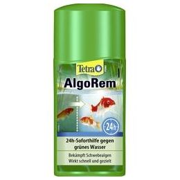 Tetra Wasseraufbereitung AlgoRem 250 ml