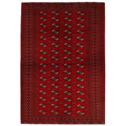 Nain Trading Orientteppich Turkaman 205x296 Handgeknüpfter Orientteppich / Perserteppich, rechteckig, Höhe: 6 mm, rot