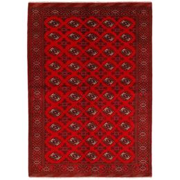 Nain Trading Orientteppich Turkaman 198x289 Handgeknüpfter Orientteppich / Perserteppich, rechteckig, Höhe: 6 mm, rot