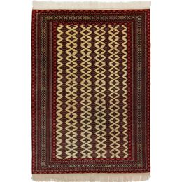 Nain Trading Orientteppich Turkaman 205x290 Handgeknüpfter Orientteppich / Perserteppich, rechteckig, Höhe: 6 mm, braun|rot
