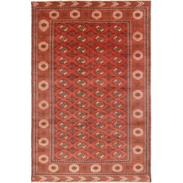 Nain Trading Orientteppich Turkaman 245x367 Handgeknüpfter Orientteppich / Perserteppich, rechteckig, Höhe: 6 mm, rot