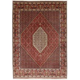 Nain Trading Orientteppich Bidjar 206x296 Handgeknüpfter Orientteppich / Perserteppich, rechteckig, Höhe: 15 mm, braun|rot