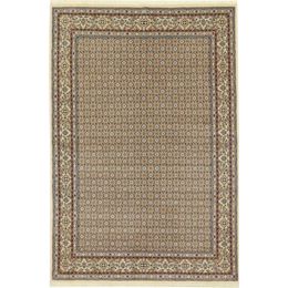 Nain Trading Orientteppich Moud 197x294 Handgeknüpfter Orientteppich / Perserteppich, rechteckig, Höhe: 12 mm, beige|braun