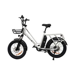 Fangqi E-Bike 20Zoll Elektrofahrrad