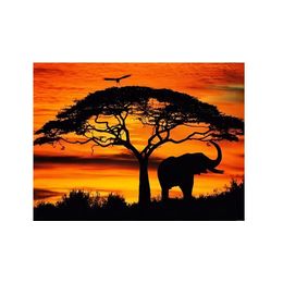 Rötting Design Malen nach Zahlen BASTELIDEE 5d Diamond Painting Set Motiv Elefant im Sonnenuntergang