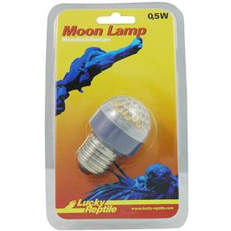 LUCKY REPTILE - Moon Lamp
