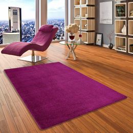 Snapstyle - Hochflor Velours Teppich Luna Purple - 140x200 cm