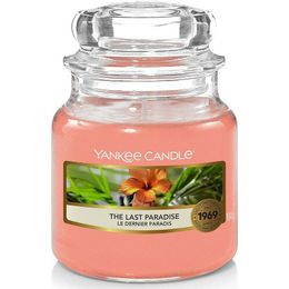 The last paradise classic small jar 104G the last paradise - yankee candle