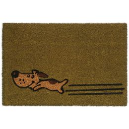 Fußmatte Kokos, 40x60 cm, Schmutzfangmatte Hunde-Motiv, Türvorleger innen & außen, Abtreter Haustür, grün - Relaxdays