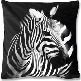 Bestlivings Kissenbezug Fotodruck Motiv in 40x40 cm, Flauschig weiche Kissen-Hülle in vielen Motiven erhältlich ( Design: Zebra ) - Zebra