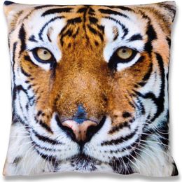 Bestlivings Kissenbezug Fotodruck Motiv in 40x40 cm, Flauschig weiche Kissen-Hülle in vielen Motiven erhältlich ( Design: Tiger beige ) - Tiger beige