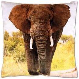 Bestlivings Kissenbezug mit Fotodruck ca. 40x40cm, Beidseitig bedruckt, in vielen Motiven verfügbar ( Design: elefant / elefant ) - Elefant