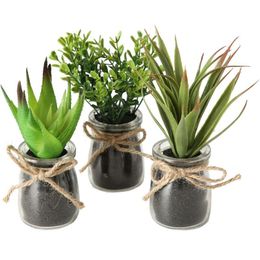 Spetebo Topfpflanze Sukkulente im Glas - 3er Set - Kunstpflanze Tischdeko Pflanze künstlich