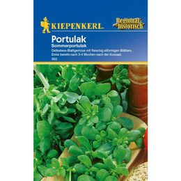 Kiepenkerl® Portulak Sommerportulak - Gemüsesamen