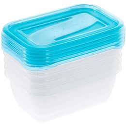 keeeper - 5er Set Lunchboxen, 5 x 500 ml, 15,5 x 10,5 x 6 cm, Fredo Fresh, Blau transparent