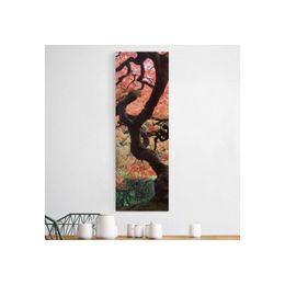 Bilderdepot24 Leinwandbild Wald Natur Modern Japanischer Garten rot Bild auf Leinwand Groß XXL