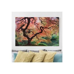 Bilderdepot24 Leinwandbild Wald Natur Modern Japanischer Garten rot Bild auf Leinwand Groß XXL