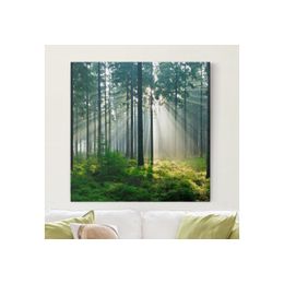 Bilderdepot24 Leinwandbild Wald Natur Modern Enlightened Forest grün Bild auf Leinwand Groß XXL