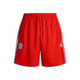 adidas Performance Trainingsshorts FC Bayern München Trainingsshorts Herren