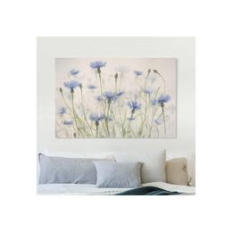 Bilderdepot24 Leinwandbild Blumen Modern Kornblumen Gräser Feld grün Bild auf Leinwand Groß XXL