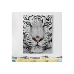 Bilderdepot24 Leinwandbild Tiere Modern Weißer Tiger schwarz weiss Bild auf Leinwand Groß XXL