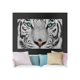 Bilderdepot24 Leinwandbild Tiere Modern Weißer Tiger schwarz weiss Bild auf Leinwand Groß XXL