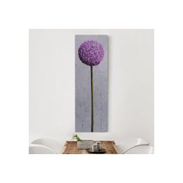 Bilderdepot24 Leinwandbild Blumen Modern Natur Allium Kugel-Blüten lila Bild auf Leinwand XXL
