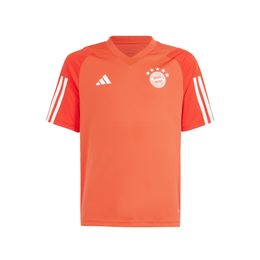 adidas Performance Funktionsshirt 'FC Bayern München Tiro 23'