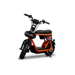 Star-Biker E-Motorroller Elektroroller Coopop
