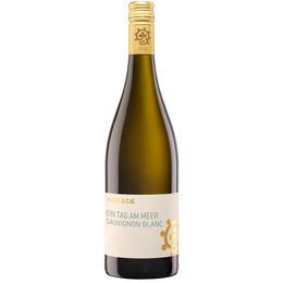 Weingut Hammel Hammel 2023 Tag am Meer Sauvignon blanc trocken