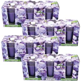 Hs Candle - Duftkerzen Classic 12er Pack im Glas, lange Brenndauer und angenehmer Duft ( Lavendel ) - Violett