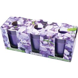 Duftkerzen Classic 3er Pack im Glas, lange Brenndauer und angenehmer Duft ( Lavendel ) - Violett