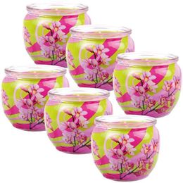 Hs Candle - Duftkerzen Motiv 6er Pack im Glas, lange Brenndauer und angenehmer Duft ( Blütenzauber ) - Pink