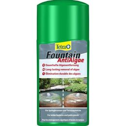 Pond Wasserpflege Fountain AntiAlgae 250 ml Wasserpflegeprodukte - Tetra