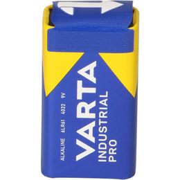 2x 9V-Block-Batterien 6LR61 MN1604 Varta 4022 Industrial Batterie