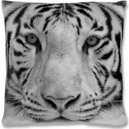 Bestlivings Dekokissen Fotodruck Motiv in 40x40 cm, Flauschig weiches Kissen in vielen Motiven erhältlich ( Design: Tiger Grey ) - Tiger grey