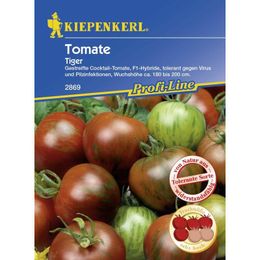 Tomate Tiger Solanum lycopersicum, Inhalt 5 Korn Gemüsesamen - Kiepenkerl