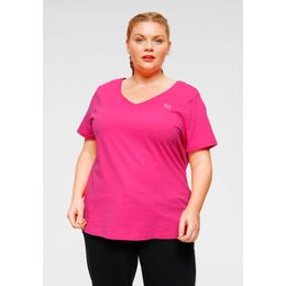 Große Größen: 3er Pack T-Shirts, schwarz-pink, Gr.52/54