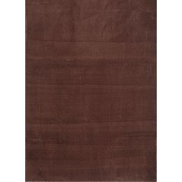 Ayyildiz Teppich, CATWALK 2600, BROWN, 80 x 250 cm