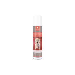 Ibanez - Ibañez Instant Clean Dry Shampoo (Spray)