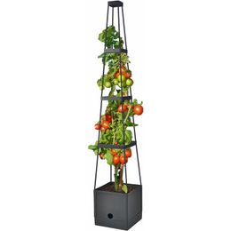Spetebo - Tomaten Rankhilfe im Pflanztopf - 150 cm - Pflanzturm Anwuchshilfe Bewässerungsboden