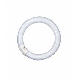 Leuchtstoffröhre lumilux c - T9, 840 Neutralweiß - 40W - Osram