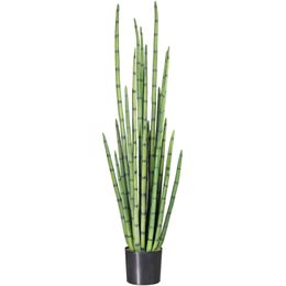 Kunstpflanze Creativ green "Sanseveria" Kunstpflanzen Gr. H: 140 cm, 1 St., grün Künstliche Zimmerpflanzen